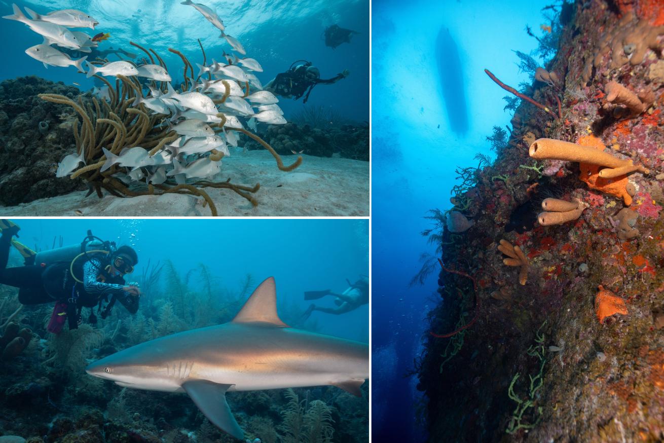 Diving Colombia's San Andres and Providencia Islands | Scuba Diving
