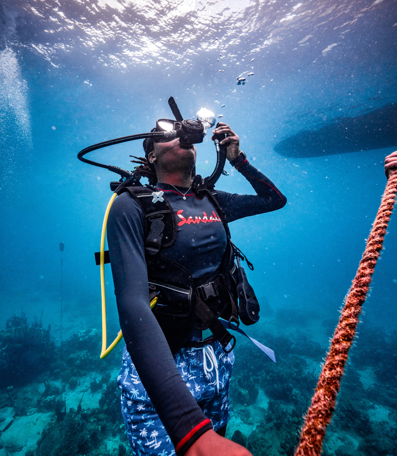Opportunity Comes Knocking Underwater at Sandals Resorts | Scuba Diving