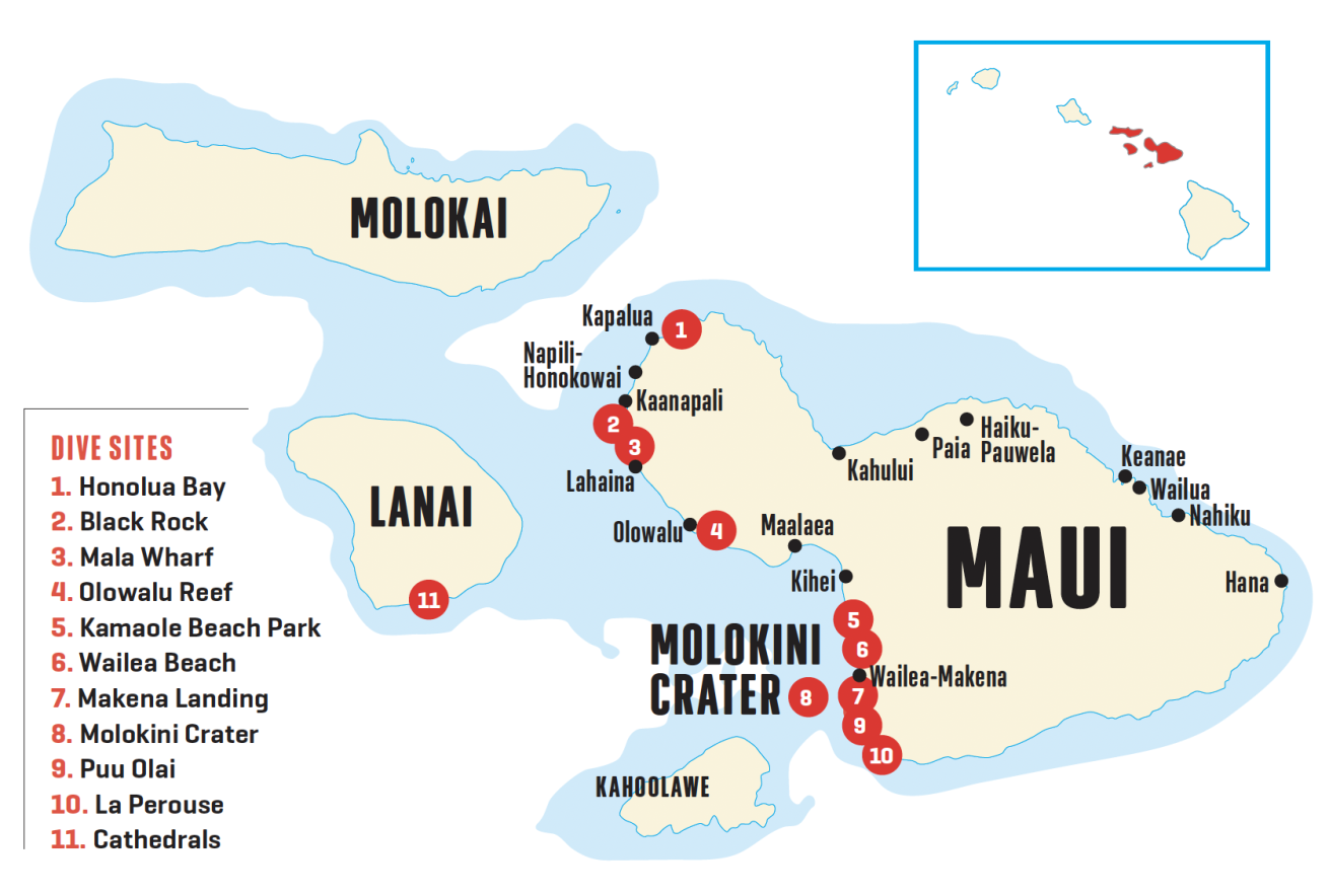 The Ultimate Guide to Scuba Diving Maui | Scuba Diving