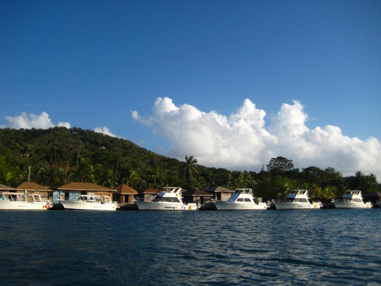 Anthony's Key Resort: Join the Family | Scuba Diving