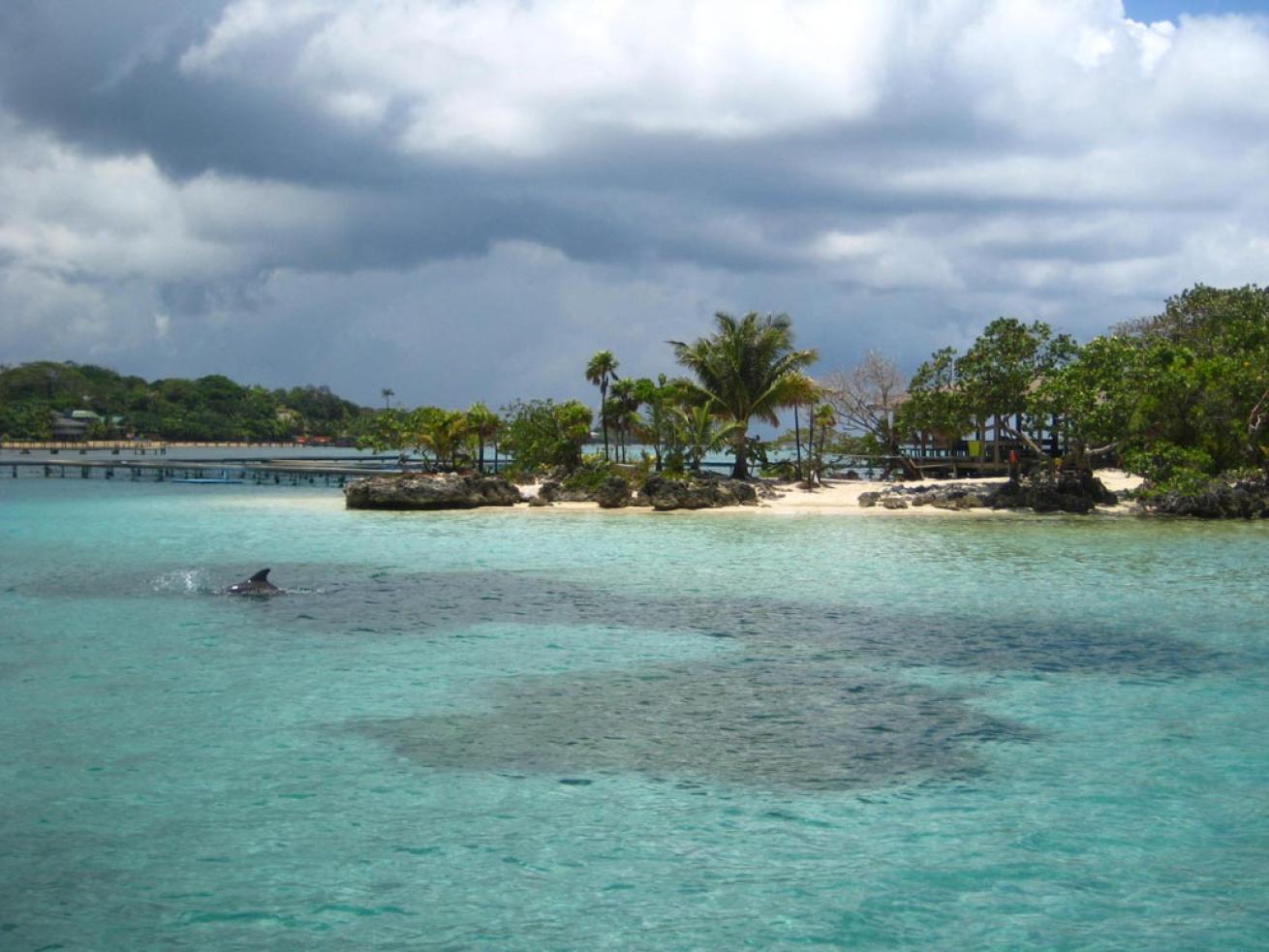 Anthony's Key Resort: Join the Family | Scuba Diving