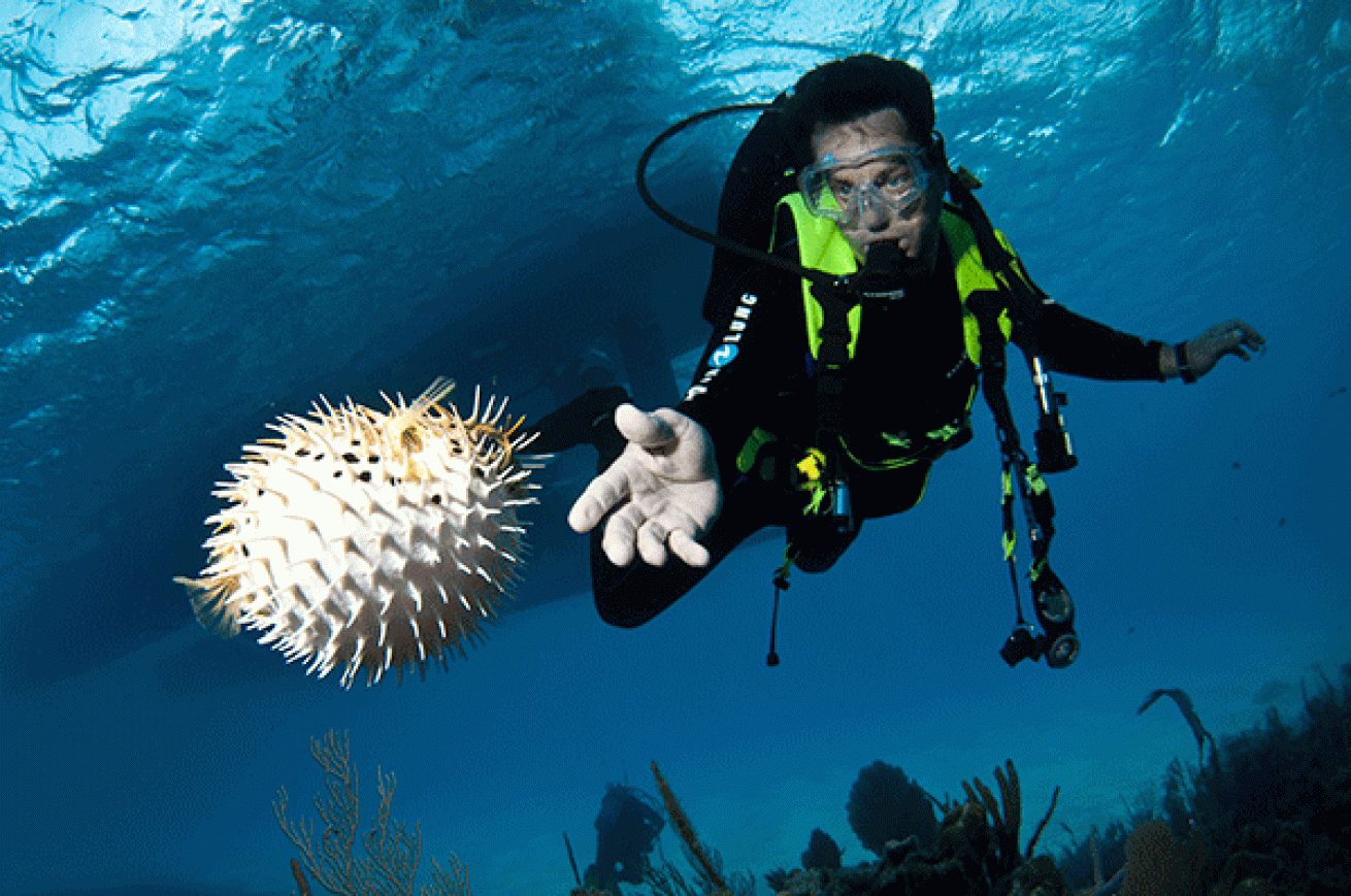 Adventure Diving: Blackbeard's Cruises Live-aboards | Scuba Diving