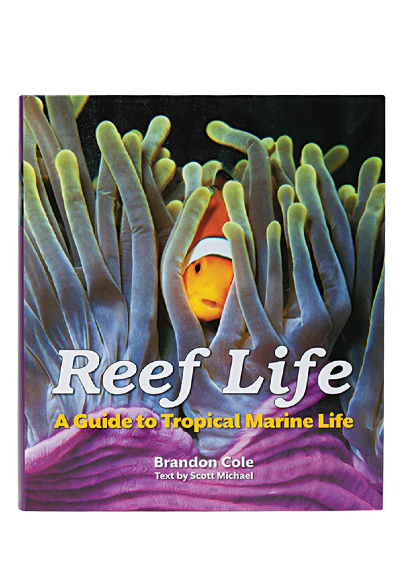 The Ultimate Marine Life Field Guide | Scuba Diving