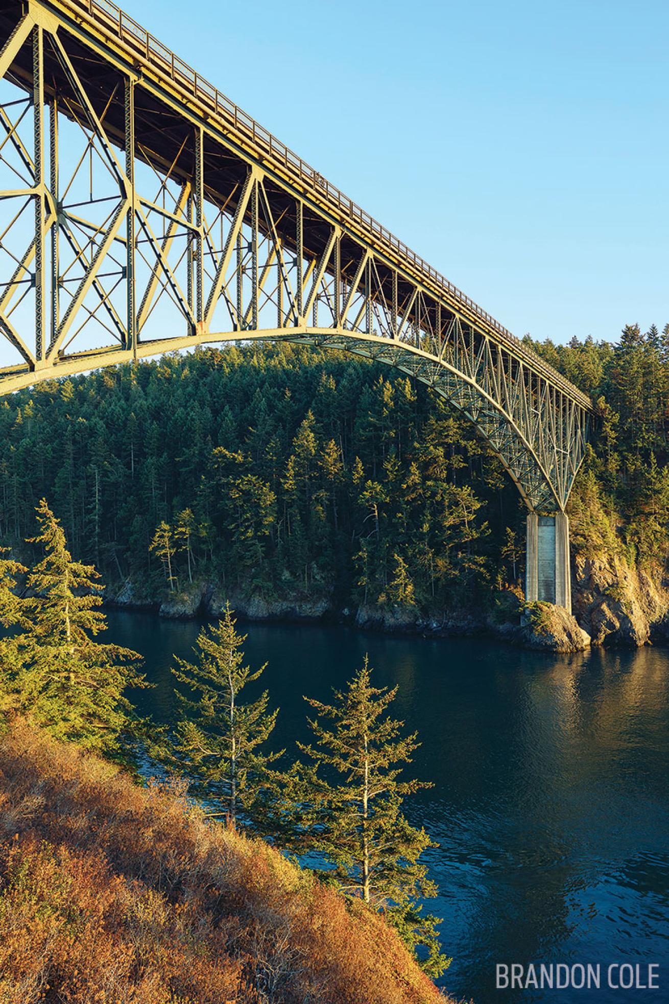 Scuba Diving in the State of Washington | Scuba Diving
