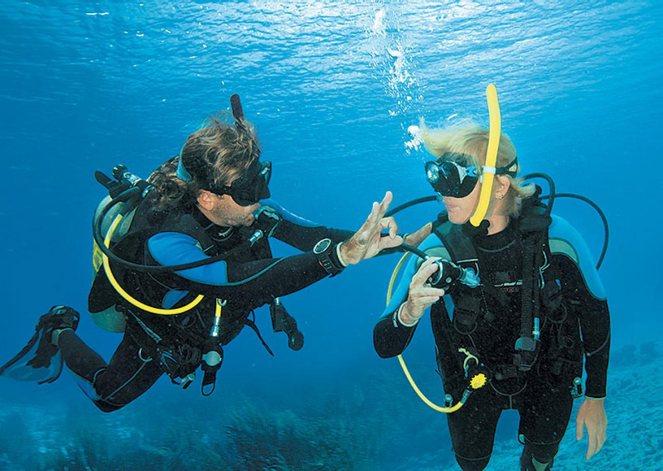 2014 World’s Best Diving & Resorts: Buddy-Dive-Resort | Scuba Diving