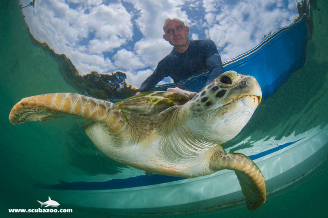 Marine Conservation Underwater Photography Tips | Scuba Diving