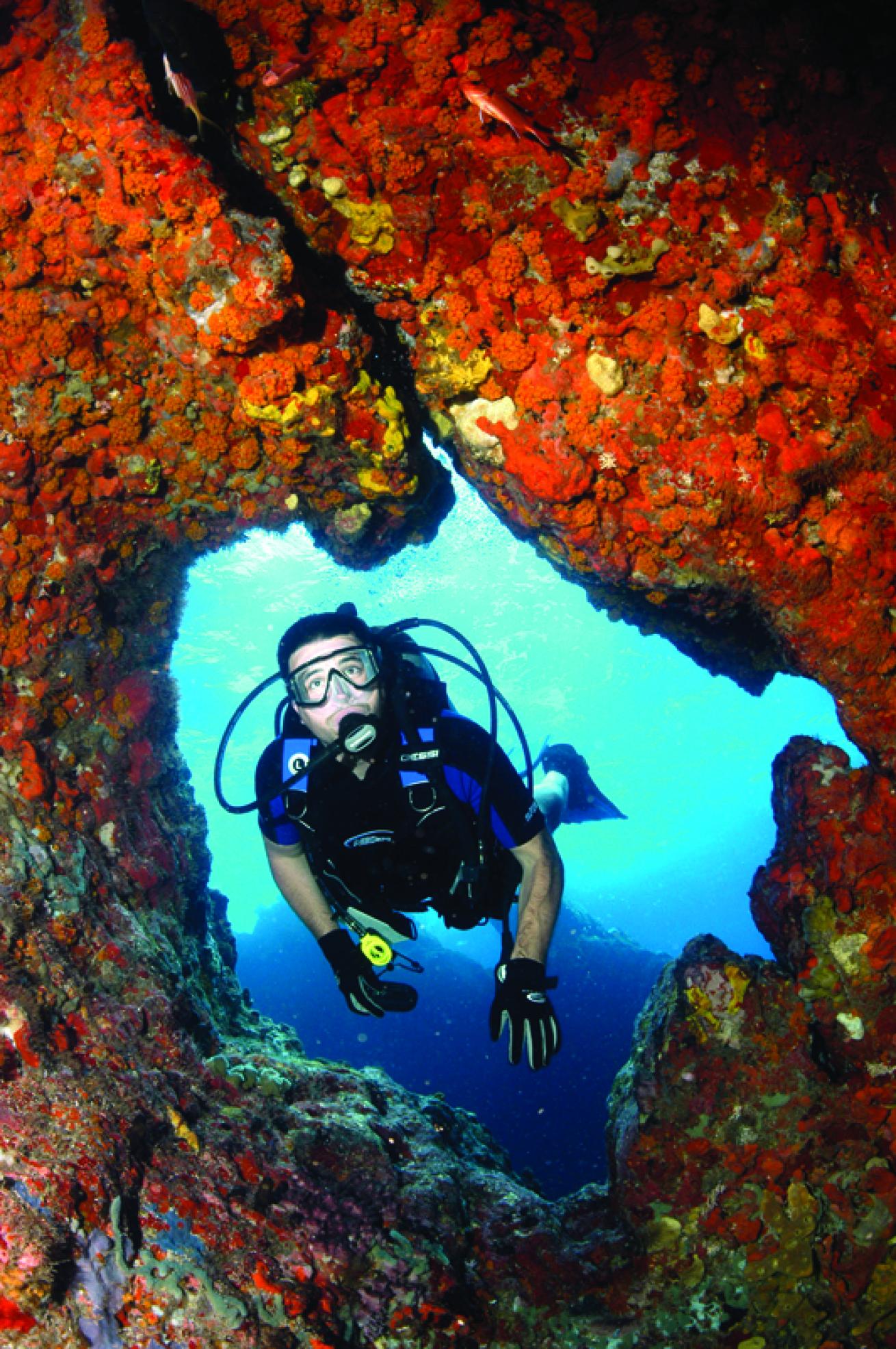 Gallery: British Virgin Islands | Scuba Diving