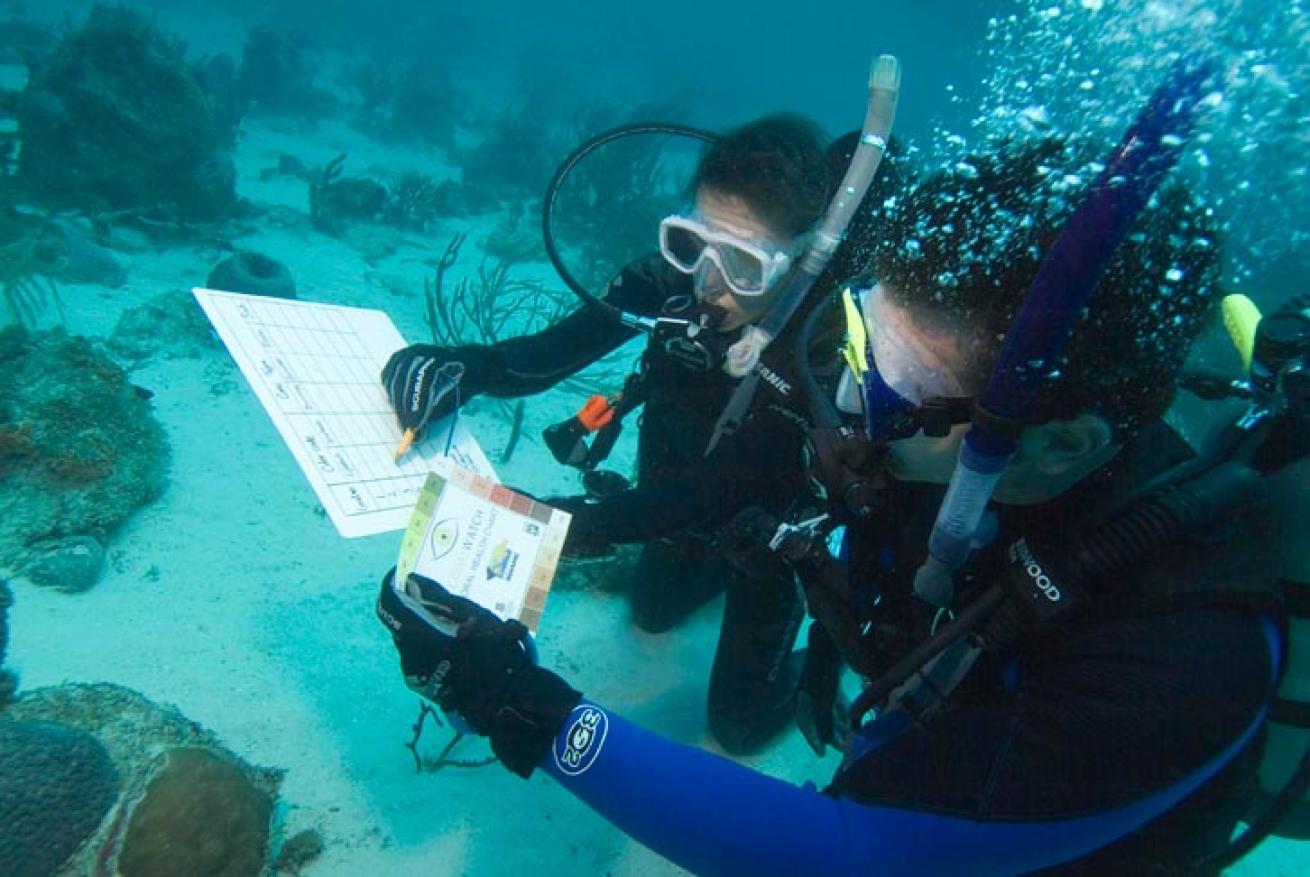 Check Out these Events for Earth Day 2011 | Scuba Diving