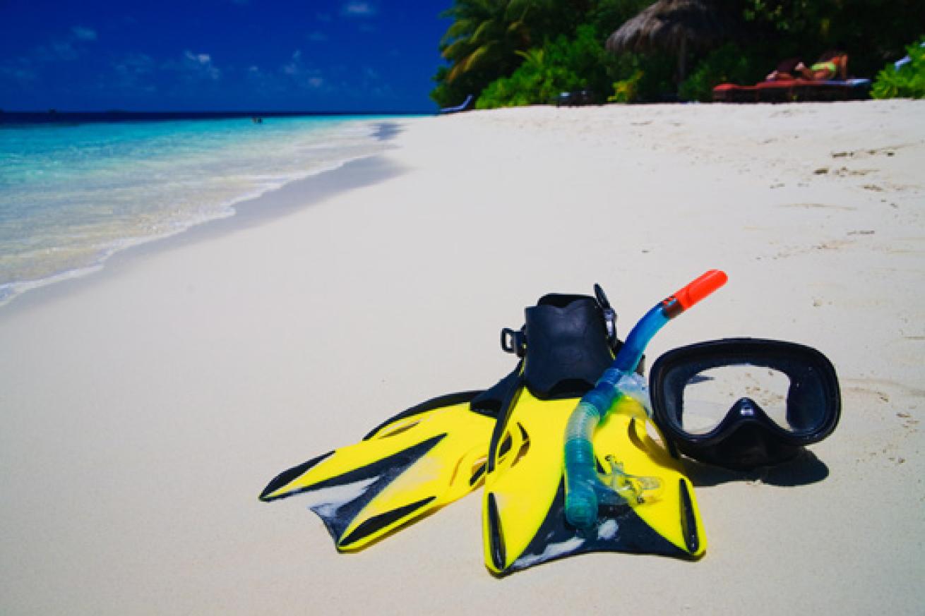 Scuba Gear Essentials: 9 Masks, Fins and Snorkels for Every Budget ...
