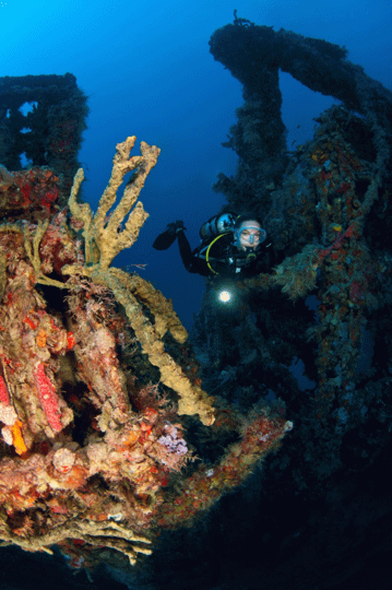 How to Take Underwater Portraits | Scuba Diving