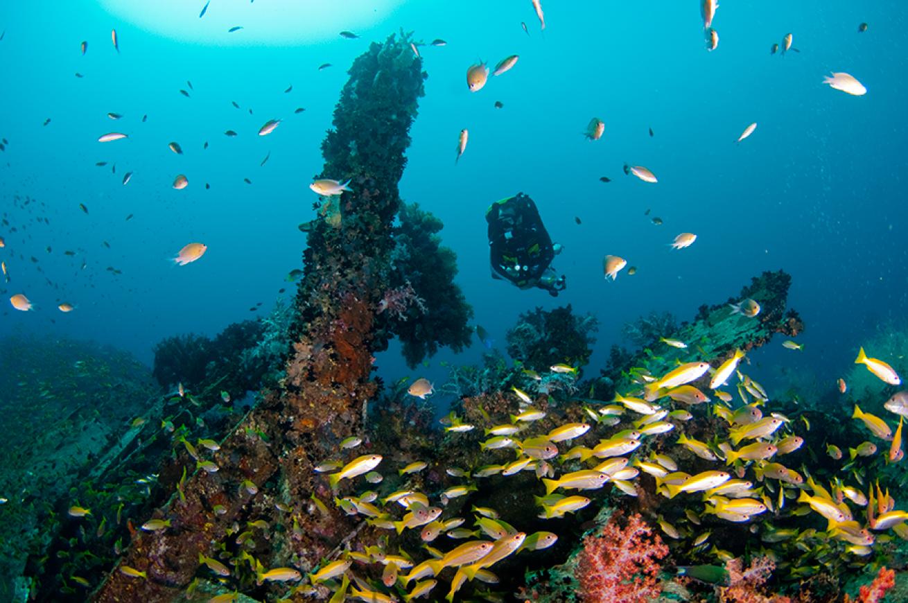 Sabah Malaysia: Perfect 10 | Scuba Diving