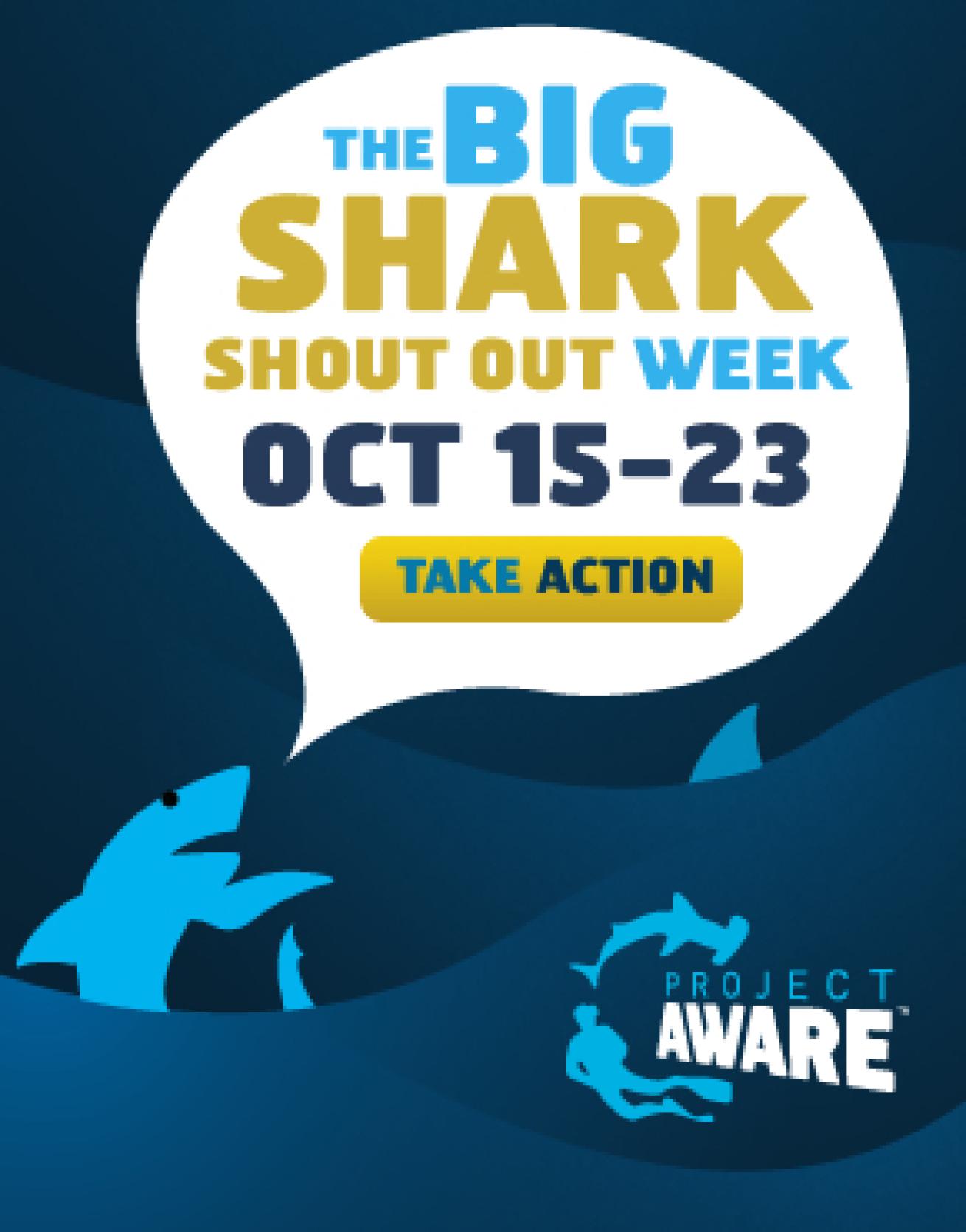 October’s Big Shark Shout Out | Scuba Diving