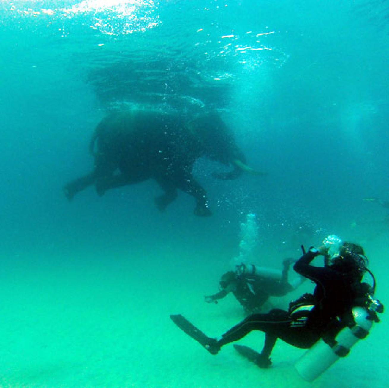 World Record: Scuba Diving in 100+ Countries | Scuba Diving