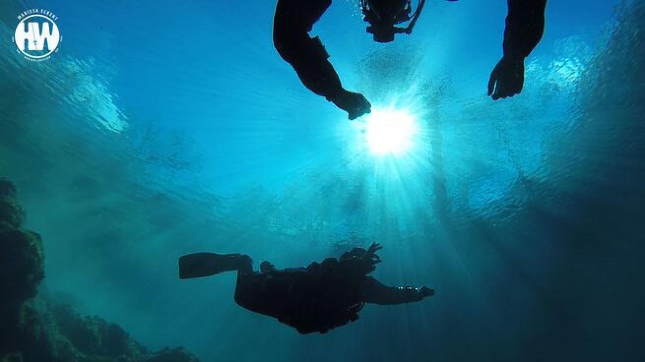 Best Introductory Cave Dives in Florida | Scuba Diving
