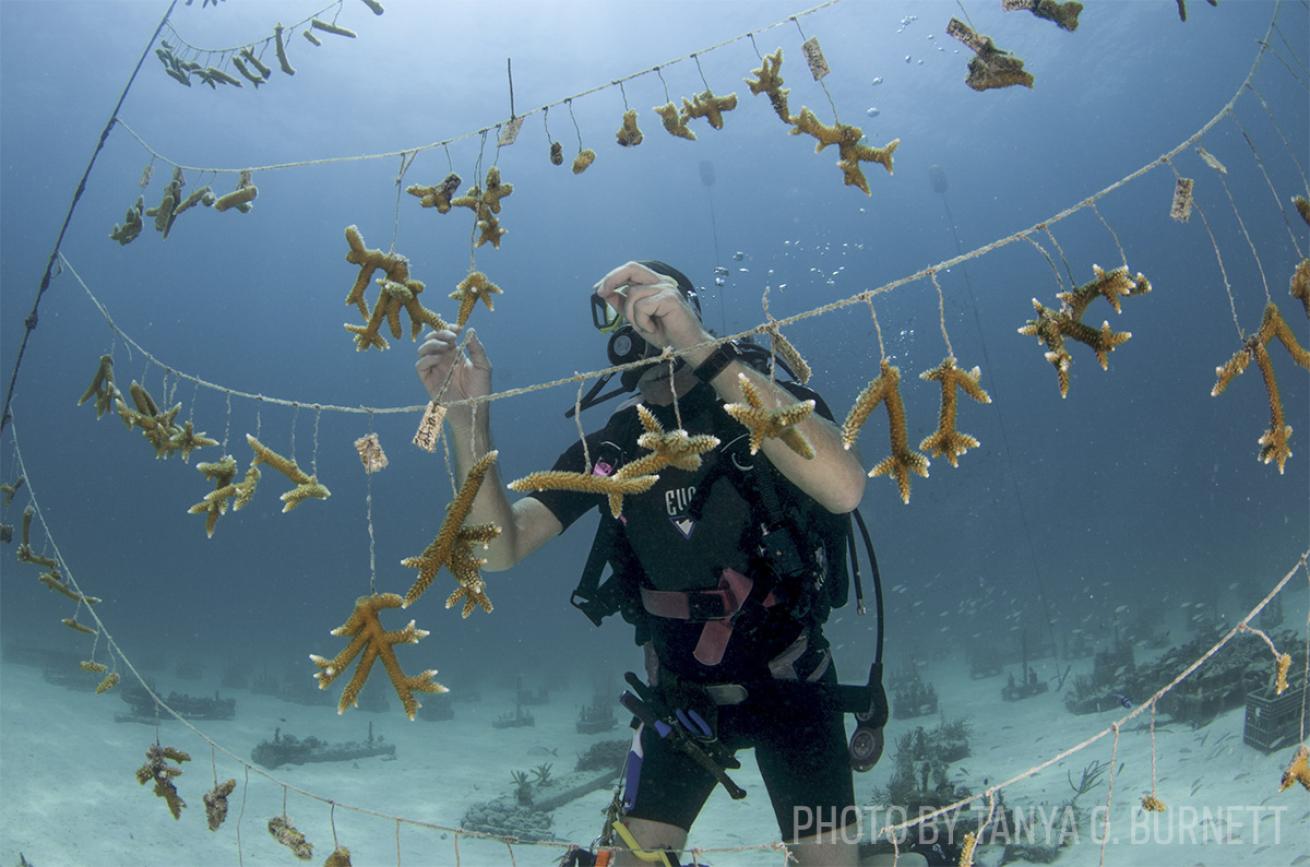 50 Ways to Challenge Yourself as a Scuba Diver | Scuba Diving