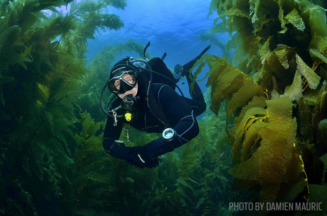 Scuba Diving Gear Picks For Cold-Water Divers | Scuba Diving
