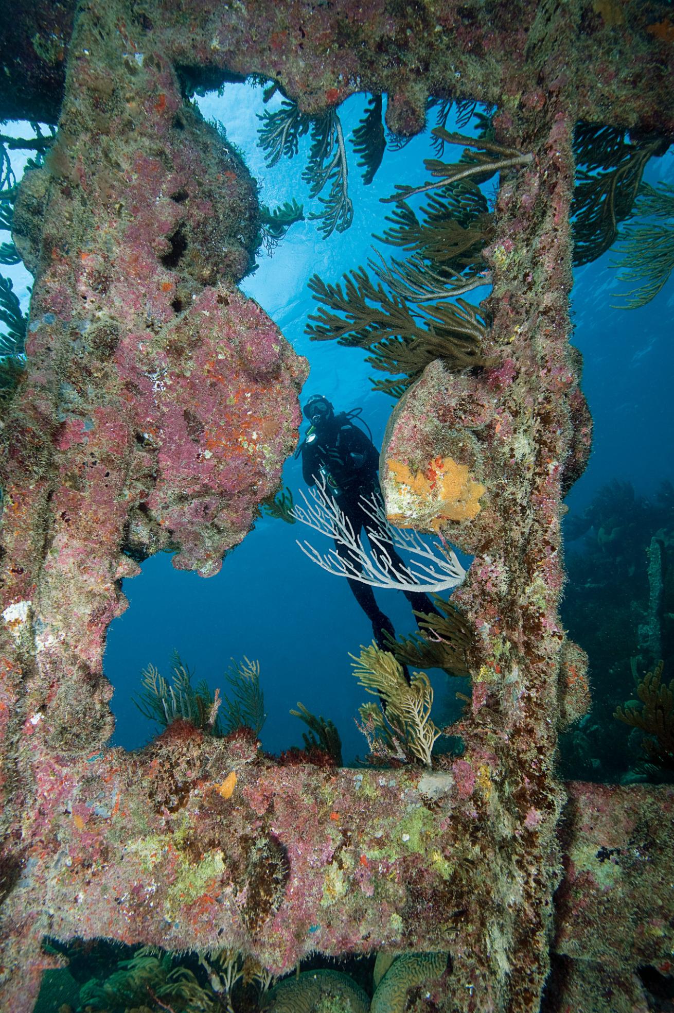 Photo Gallery: Bermuda Wreck Diving | Scuba Diving