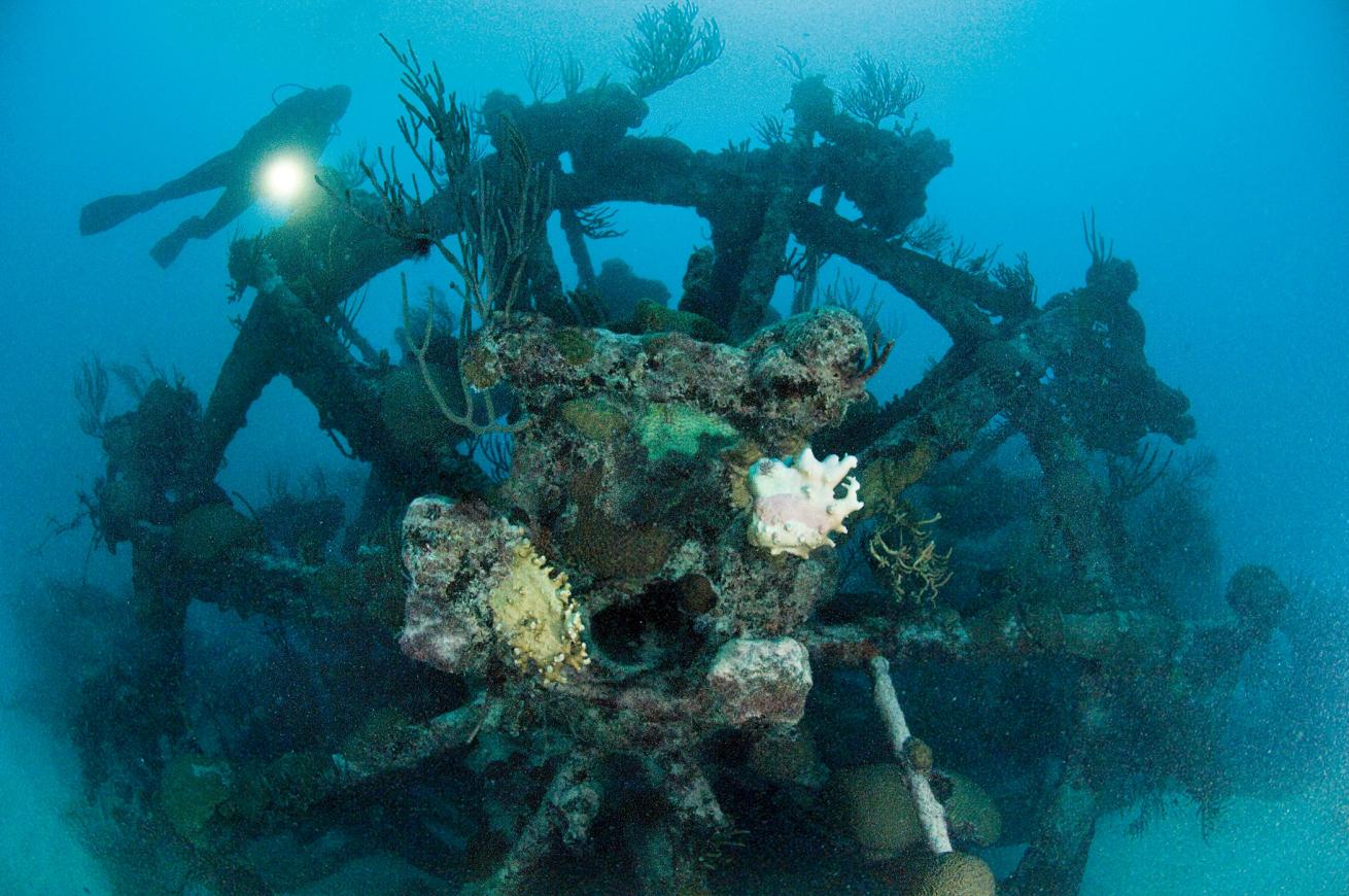 Photo Gallery: Bermuda Wreck Diving | Scuba Diving