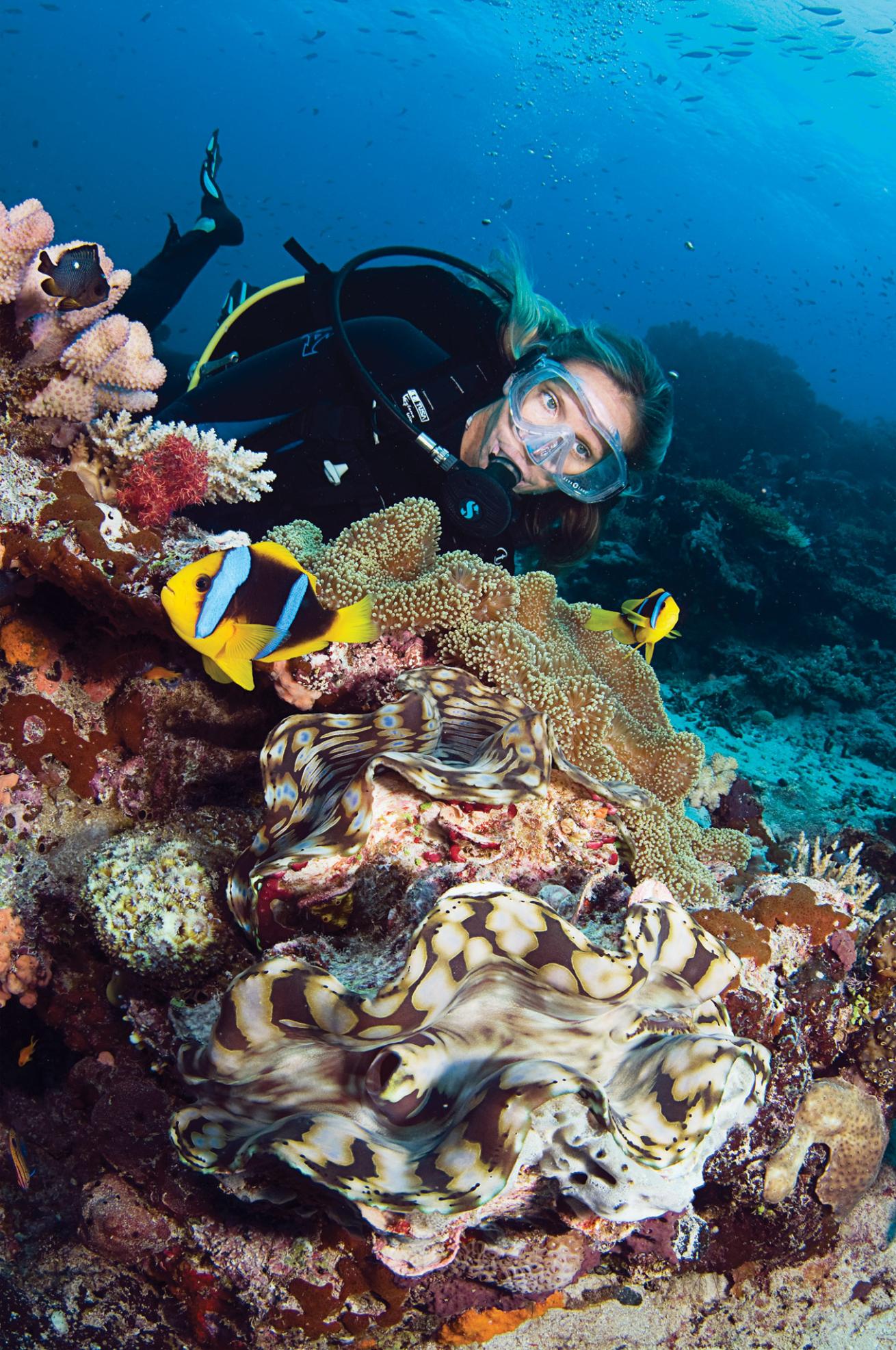 Photo Gallery: Scuba Diving Fiji | Scuba Diving