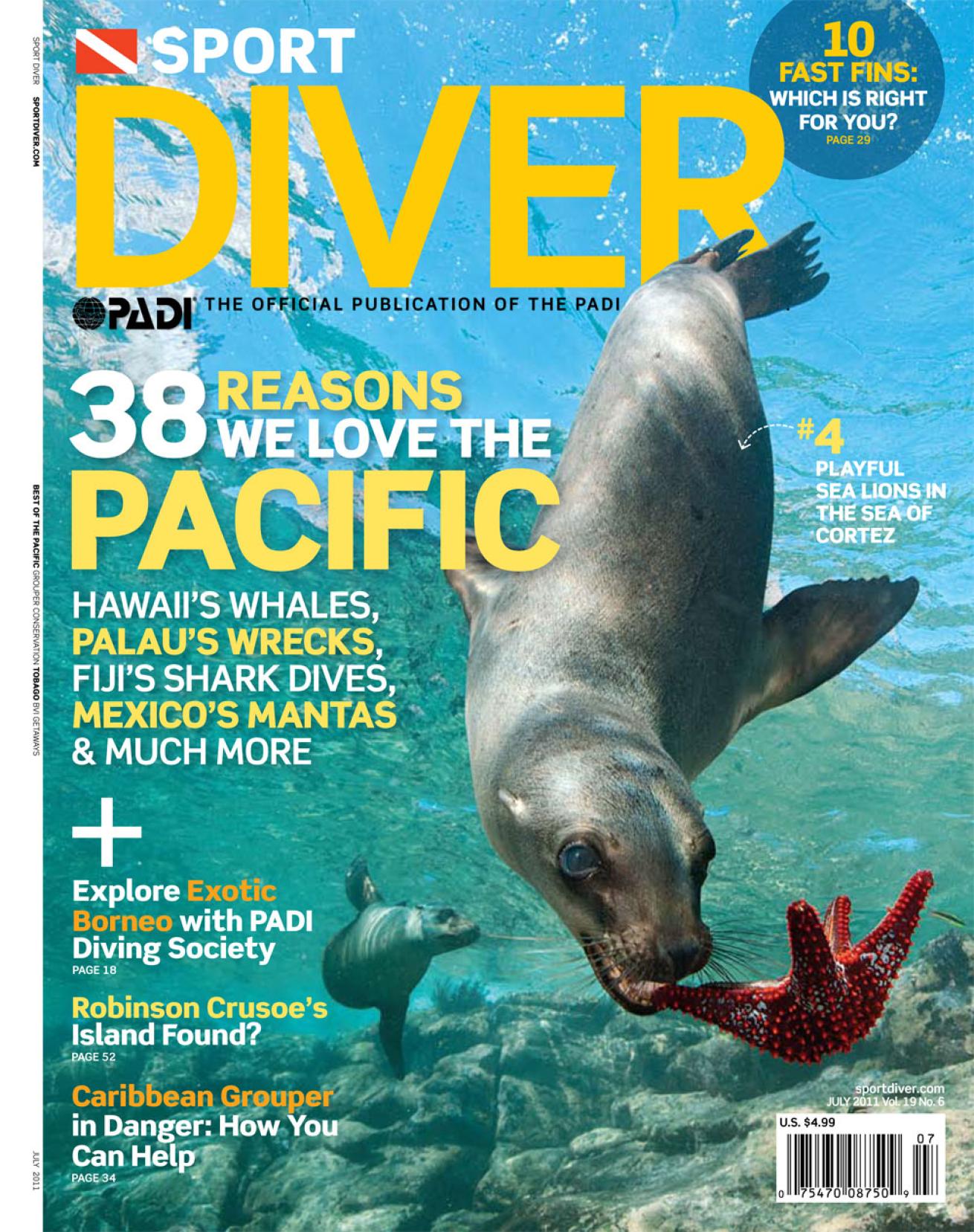Best Sport Diver Covers | Scuba Diving