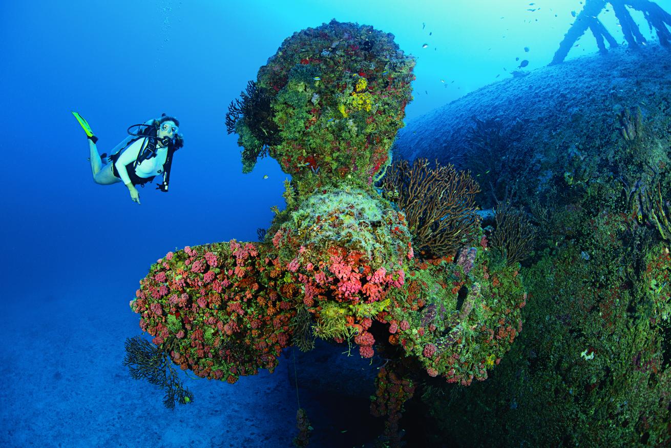 The Best Wreck Dives You've Never Heard Of | Scuba Diving