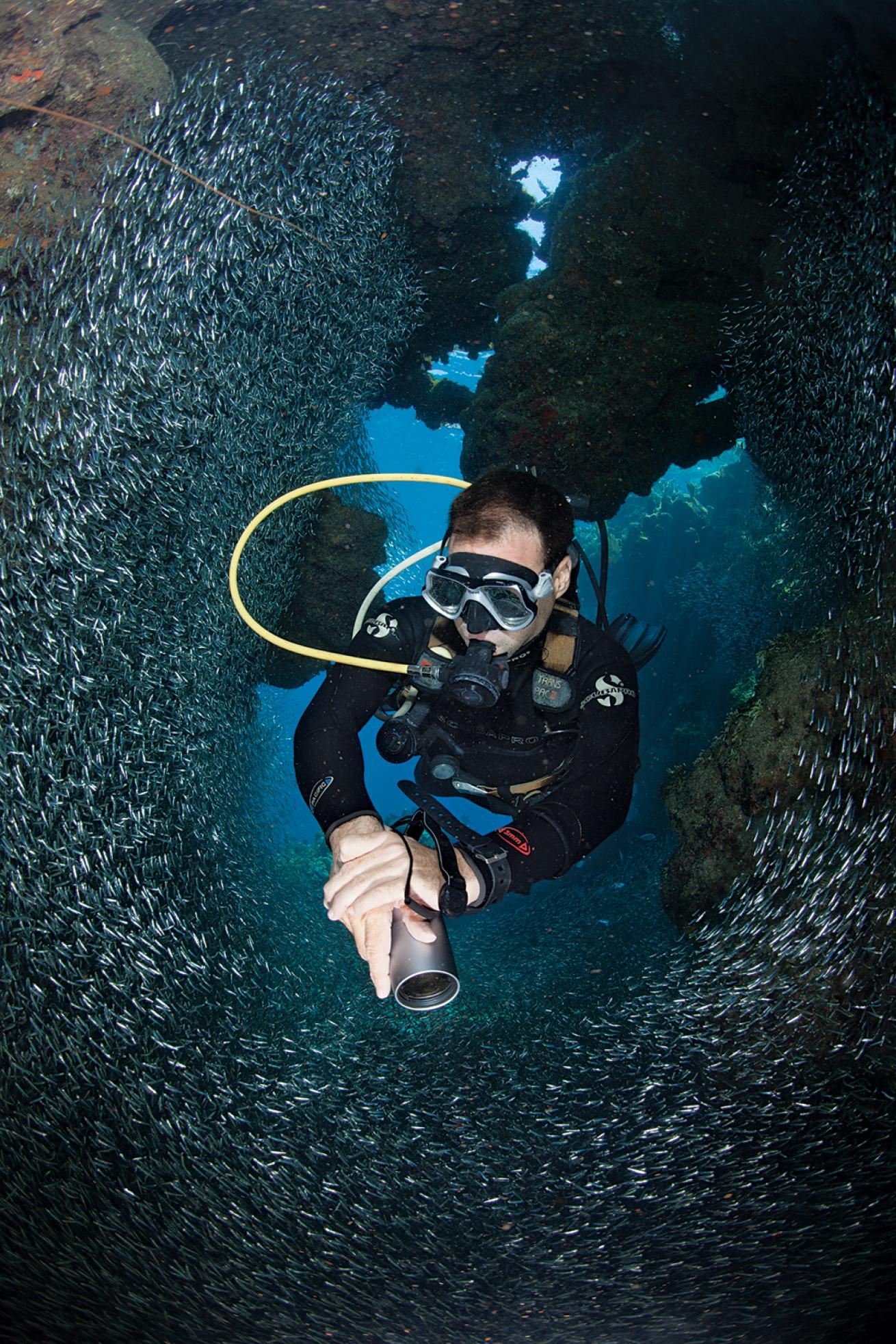 2014 World’s Best Diving & Resorts: Bay Islands, Honduras | Scuba Diving