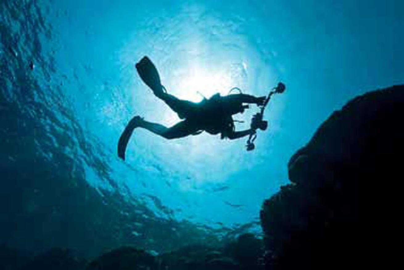 3 Basic Types of Cameras | Scuba Diving