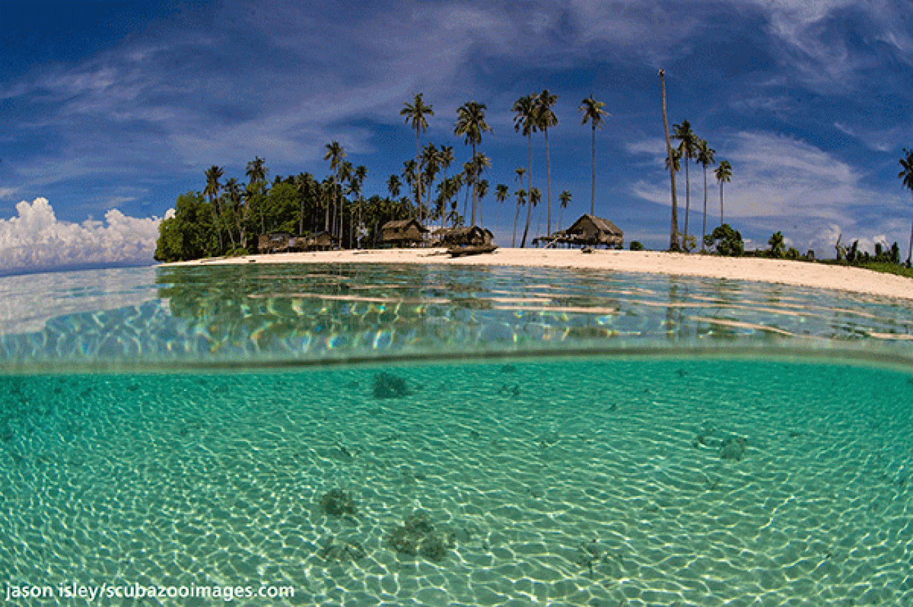 Underwater Photo Tips: Split-Level Photos | Scuba Diving