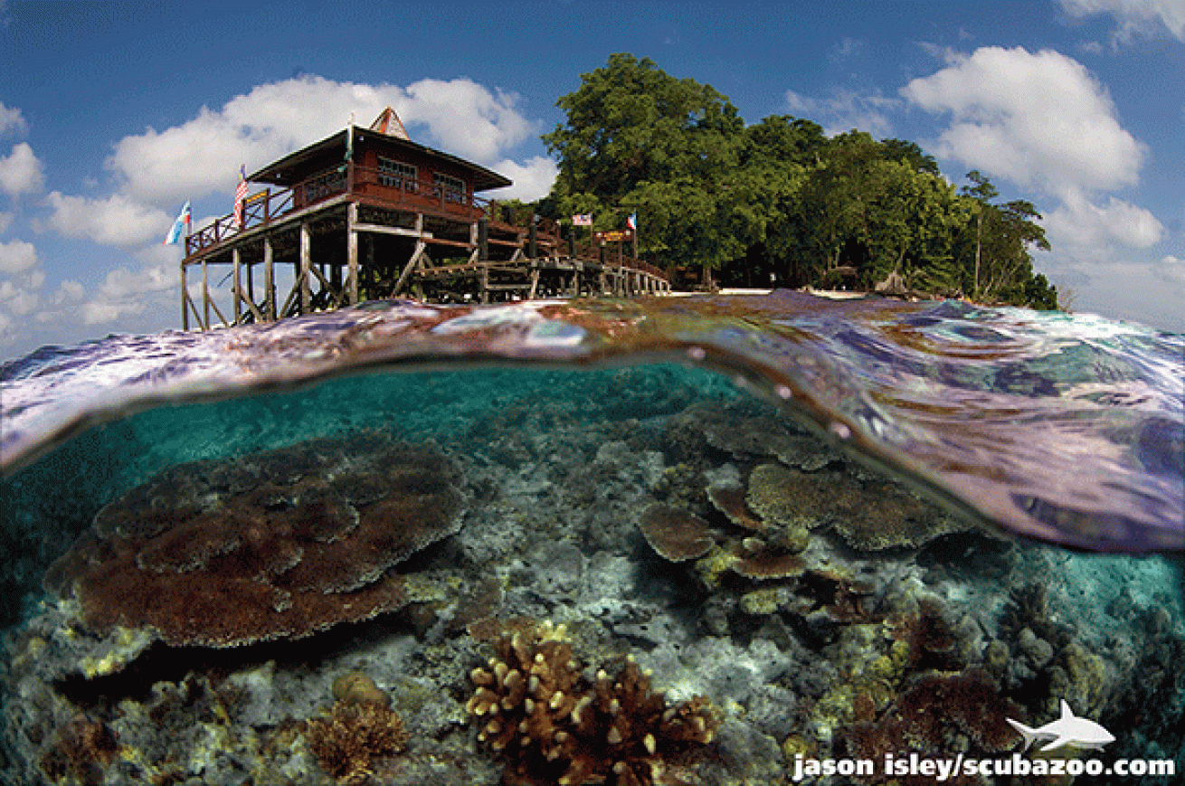 Underwater Photo Tips: Split-Level Photos | Scuba Diving