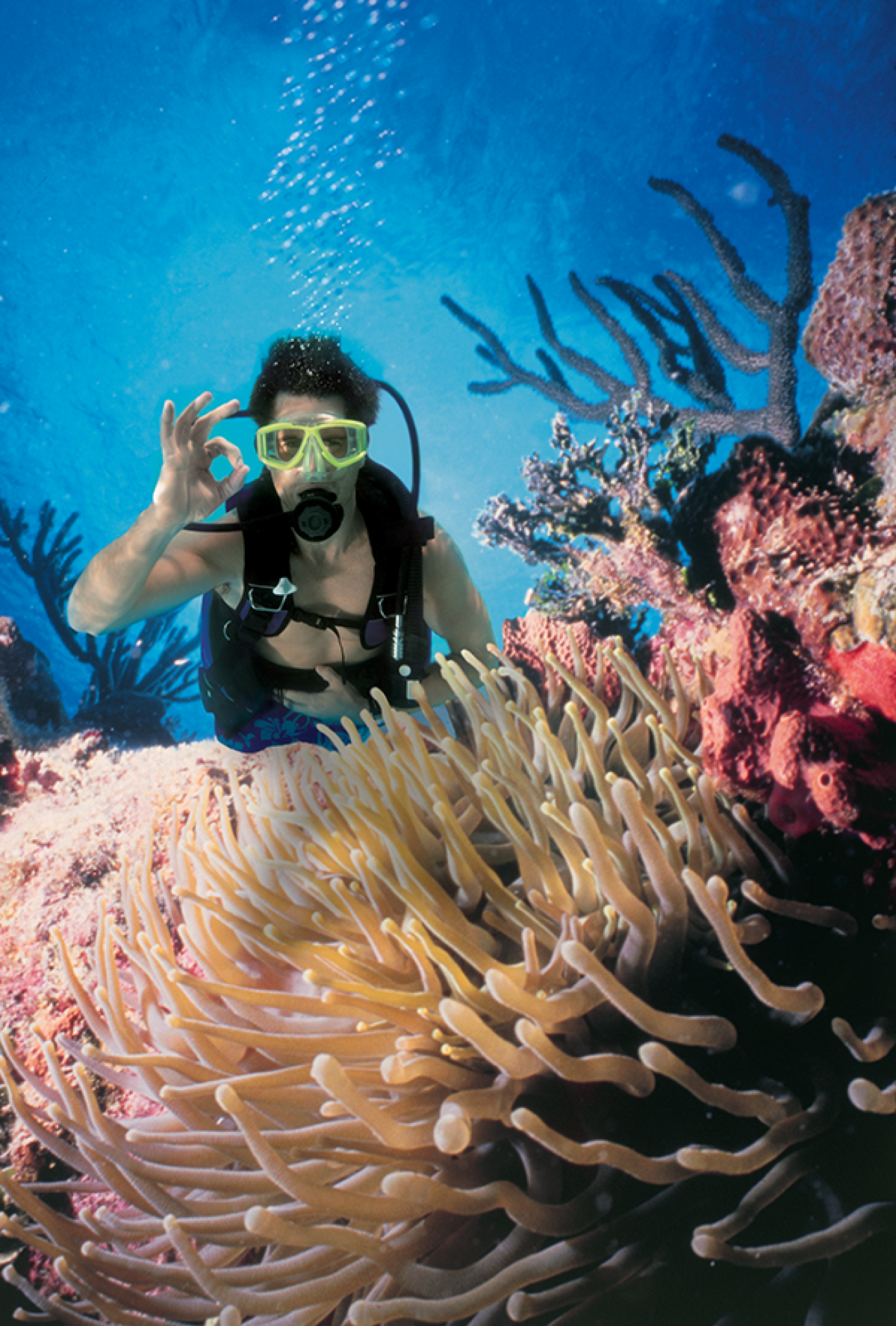 Greater Fort Lauderdale: Dive Right In | Scuba Diving
