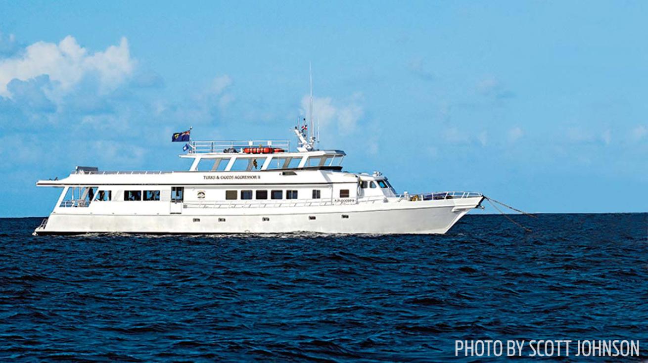 Breach Season: Snorkeling with Humpback Whales on The Silver Bank ...