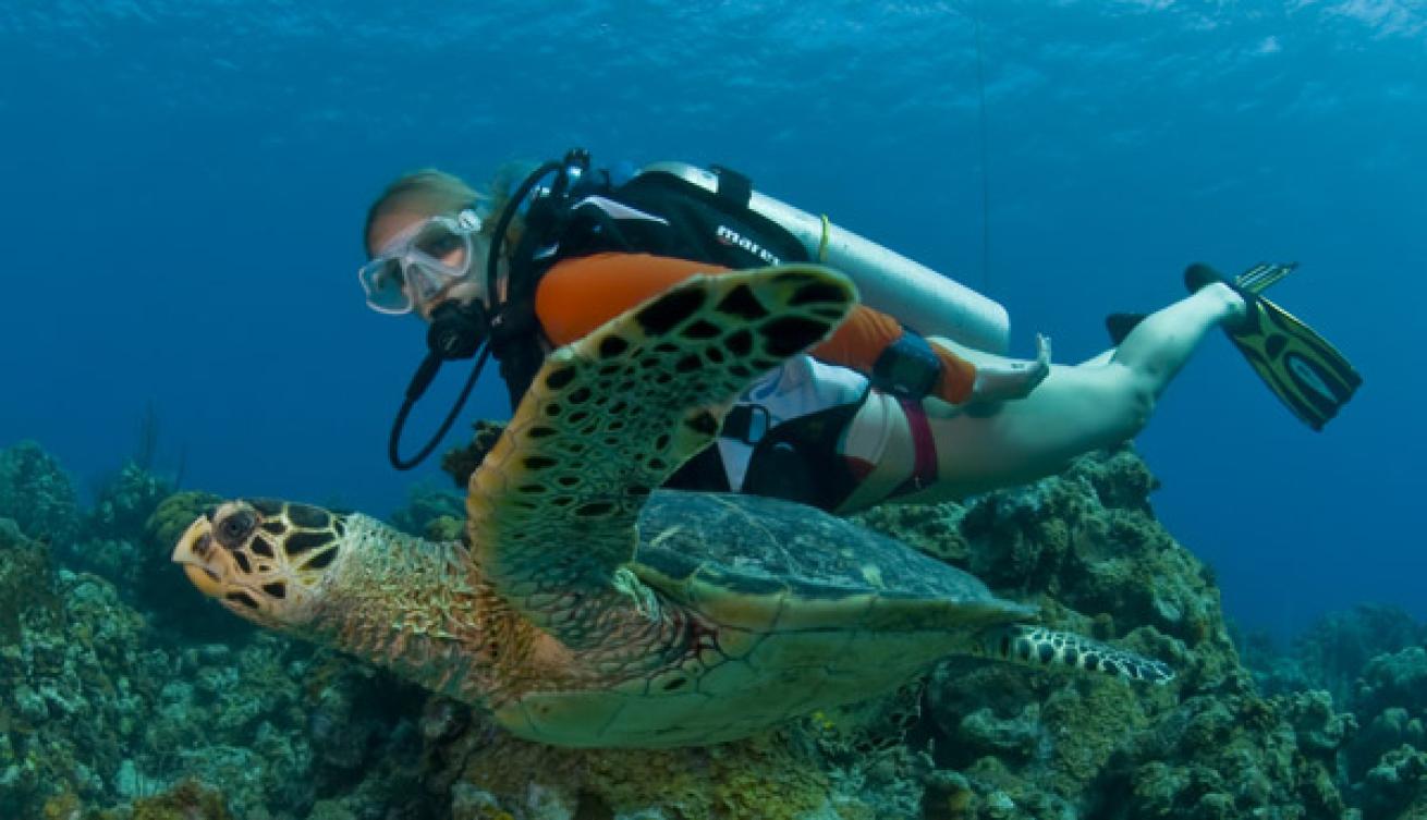 Total Submersion 2010 Photo Gallery | Scuba Diving