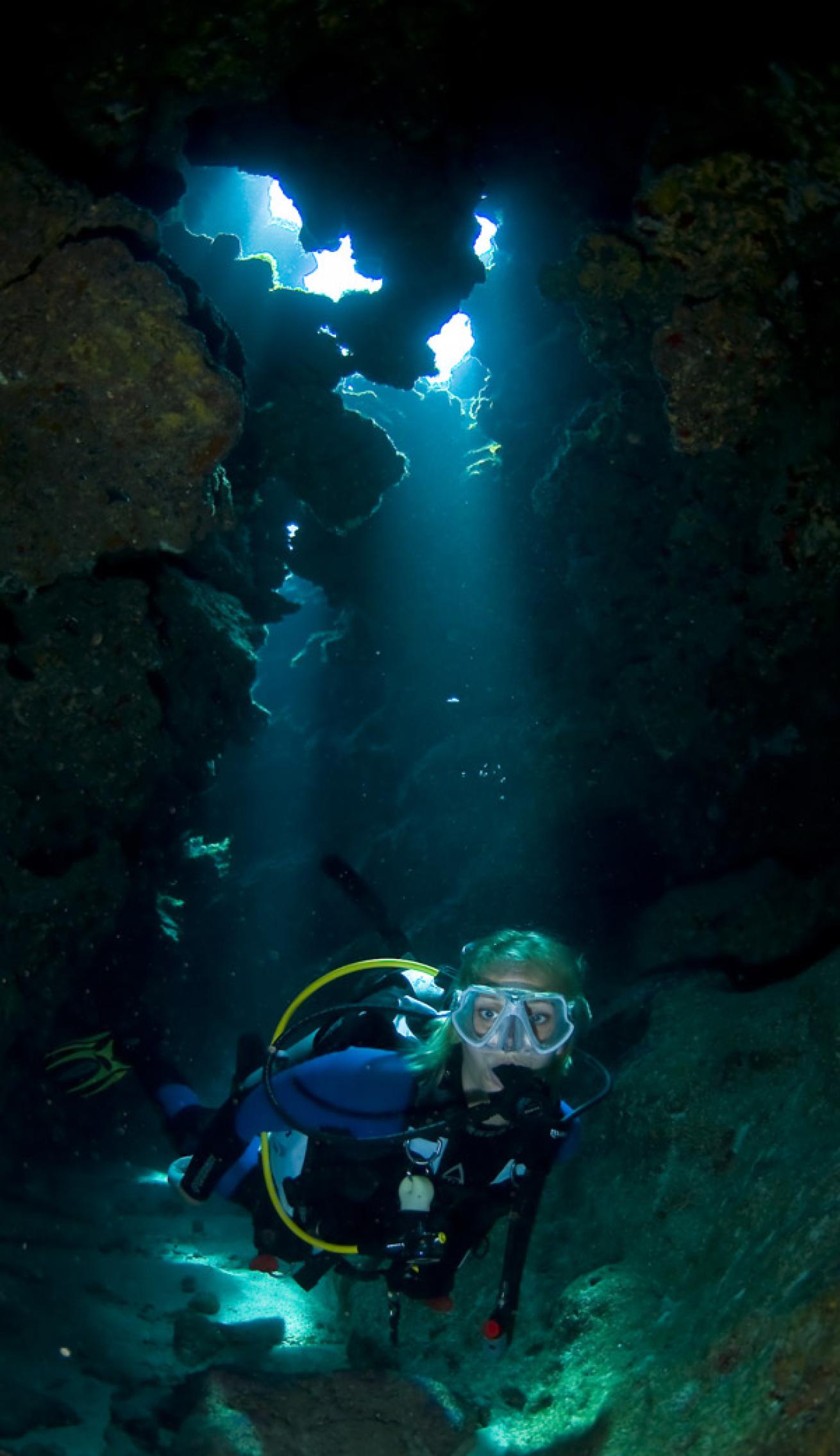 Total Submersion 2010 Photo Gallery | Scuba Diving