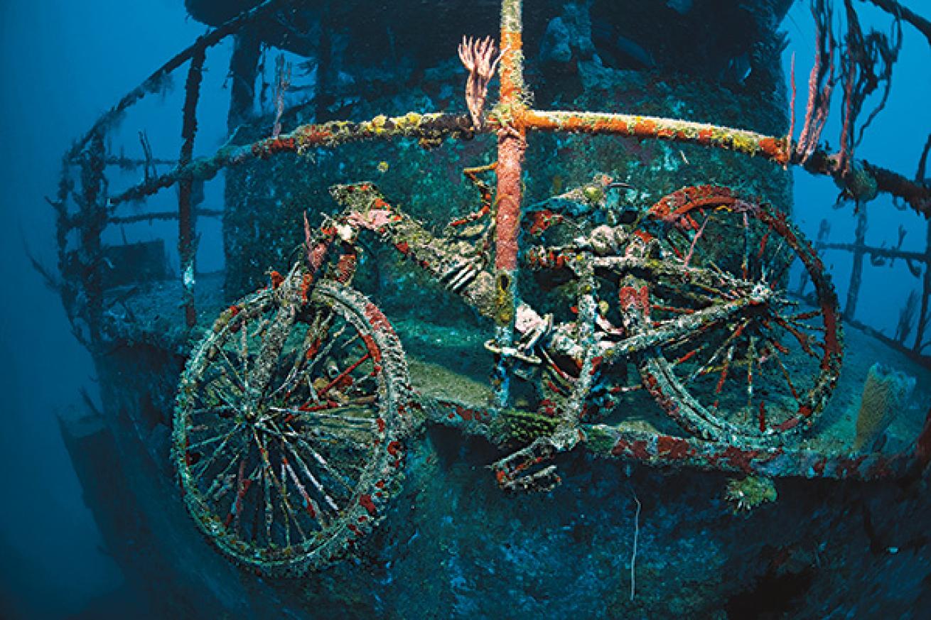 10 Things We Love About Utila | Scuba Diving