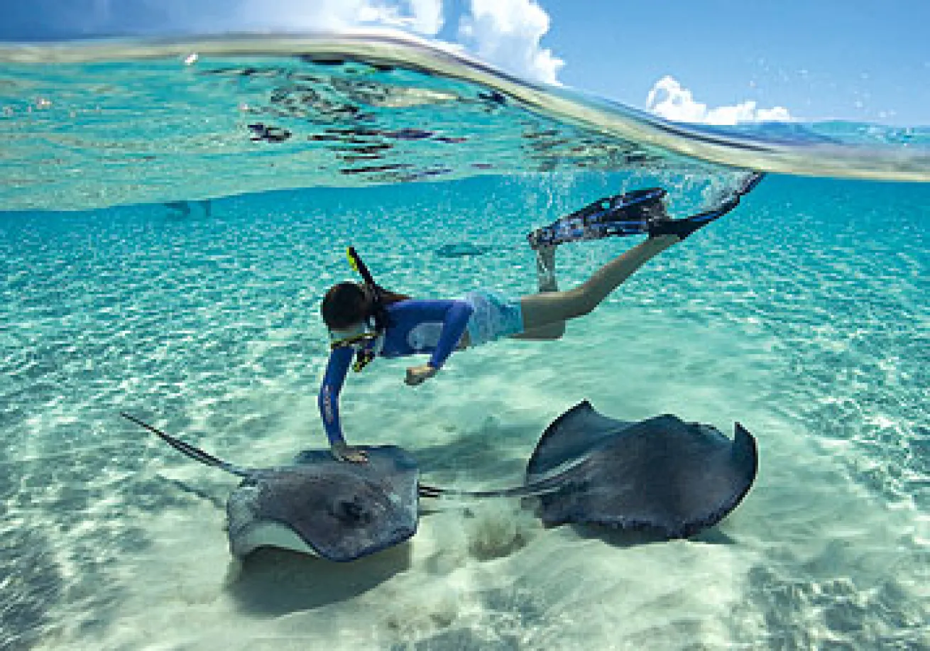 2008 World Dive Guide | Scuba Diving