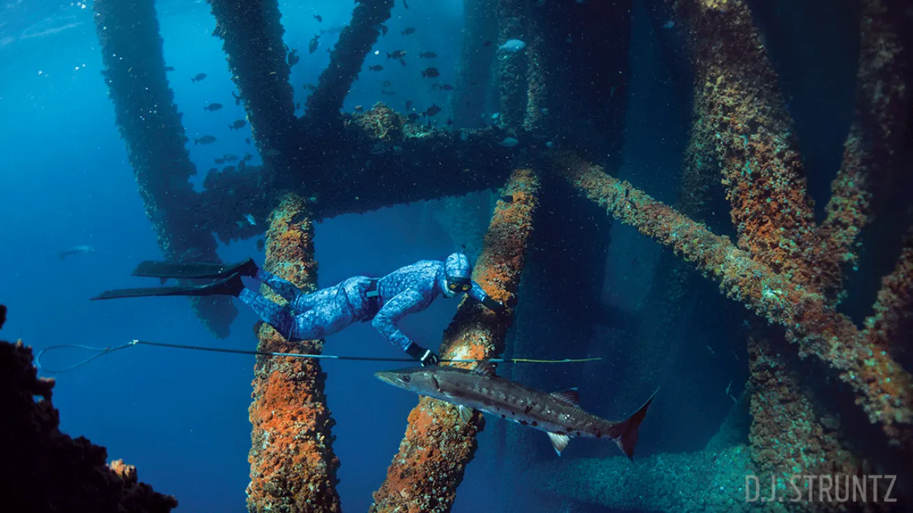 10 Freediving Sites that take Underwater Photography to a Whole New ...