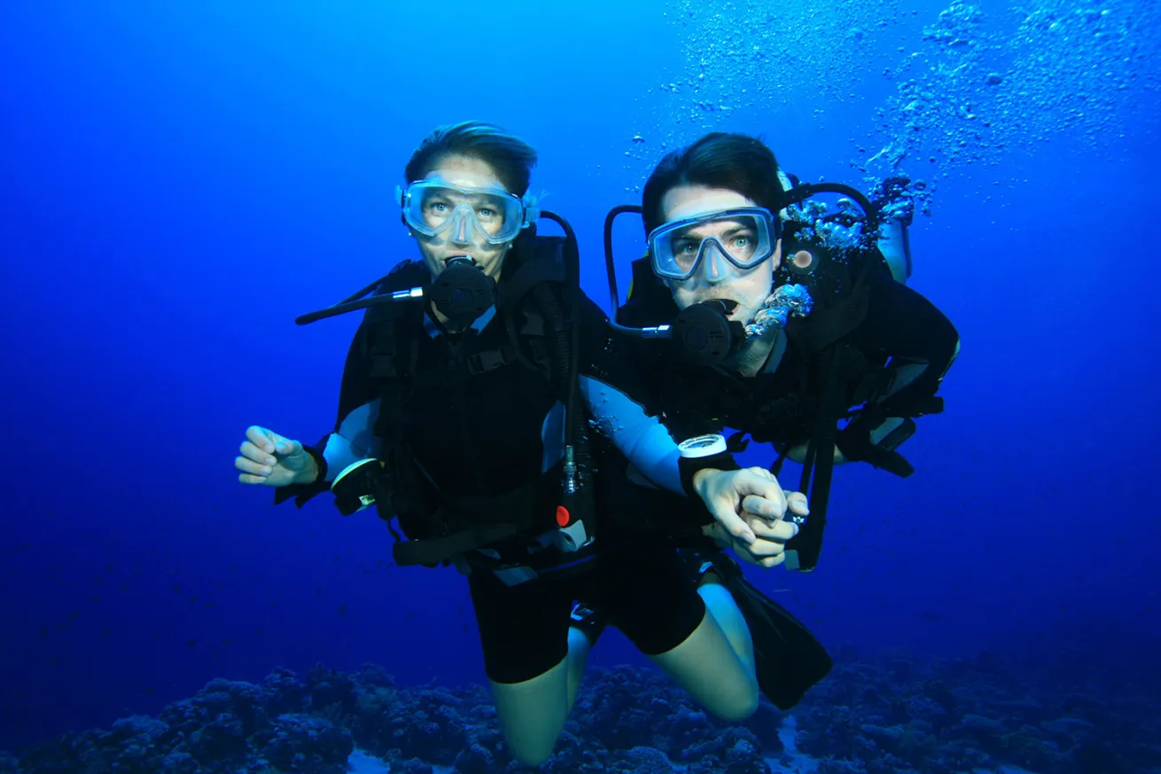 25 New Year's Resolutions Only Scuba Divers Make | Scuba Diving
