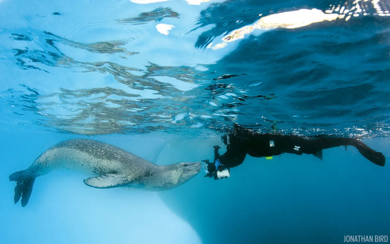 Scuba Diving with the Deadliest Animals on the Planet | Scuba Diving