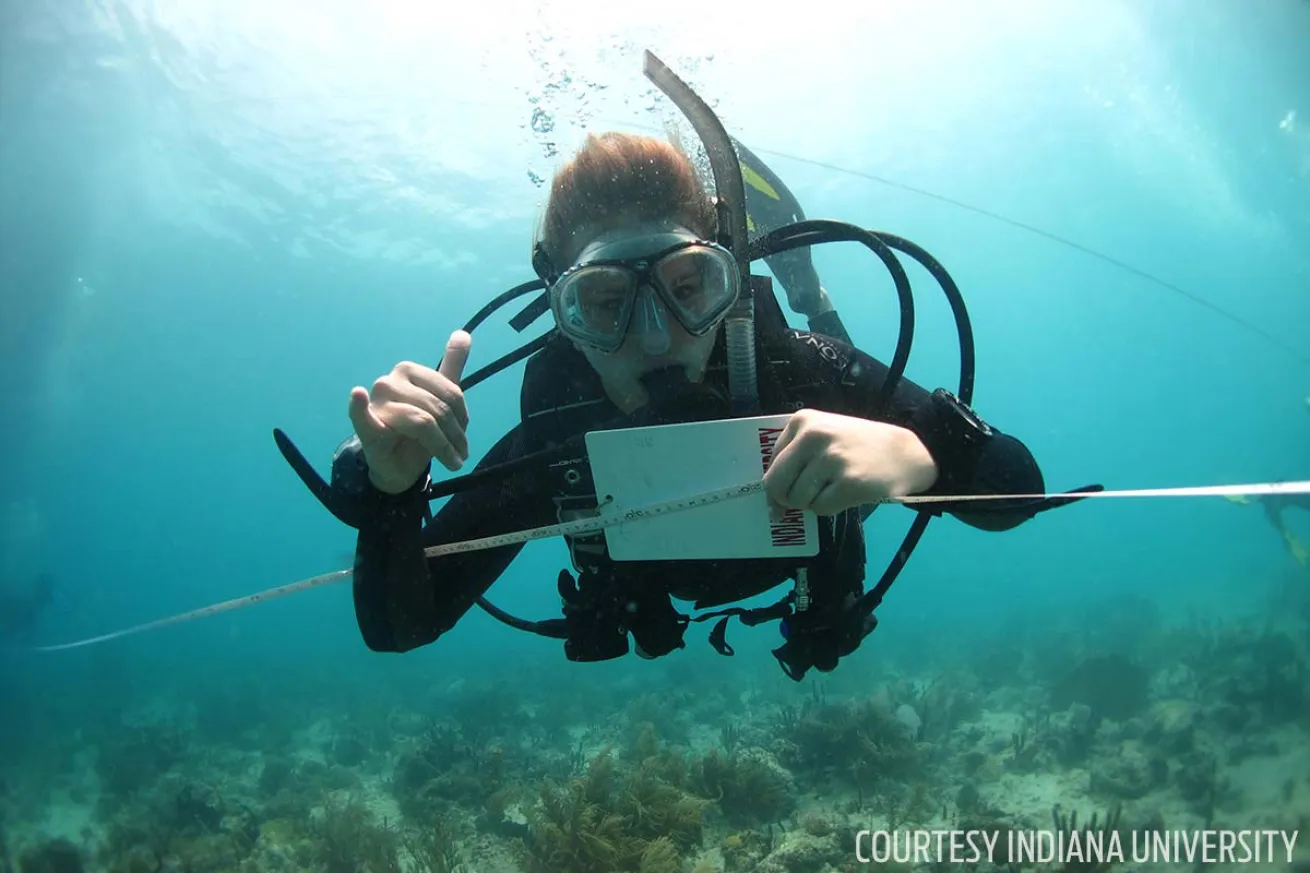 What It's Like to Scuba Dive for College Credit | Scuba Diving