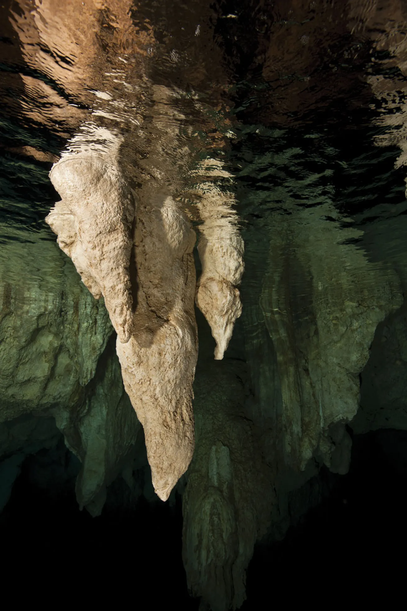 25 Reasons to Scuba Dive Palau | Scuba Diving