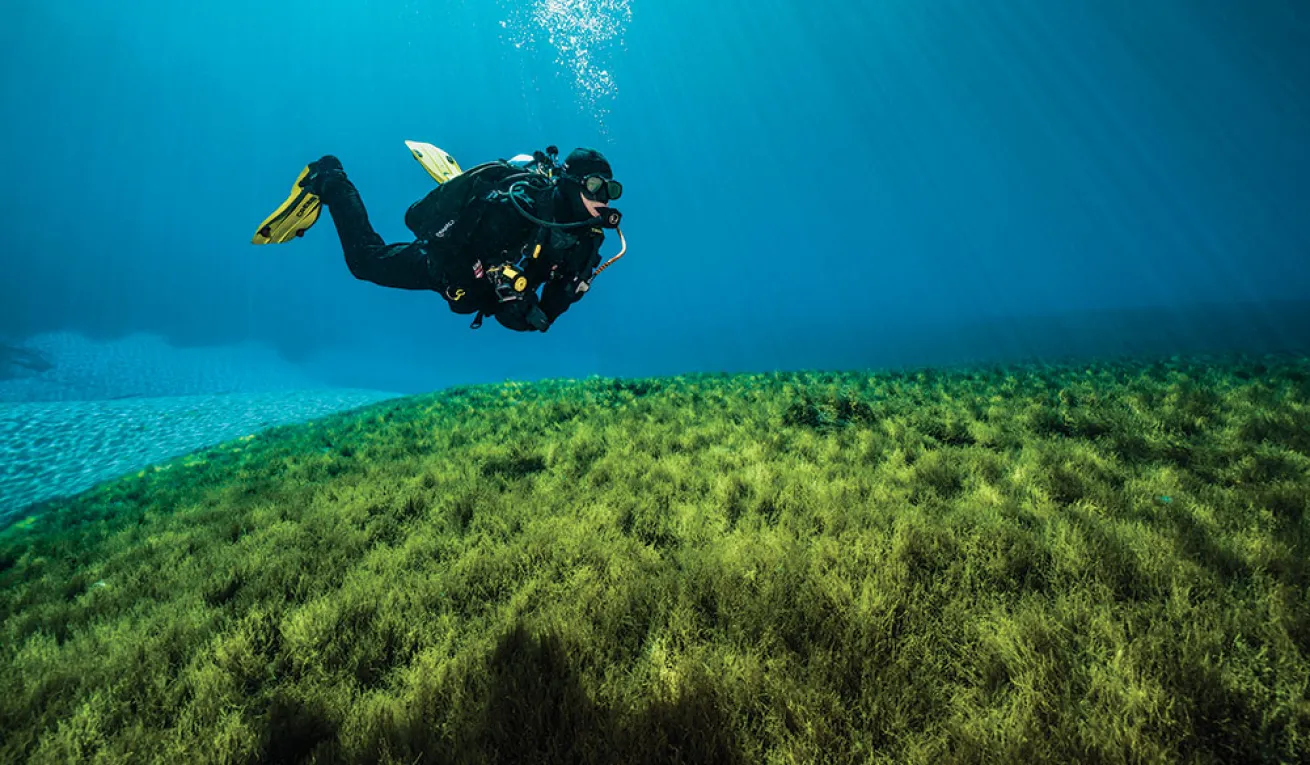 Where to Go Scuba Diving Around Portland, Oregon | Scuba Diving