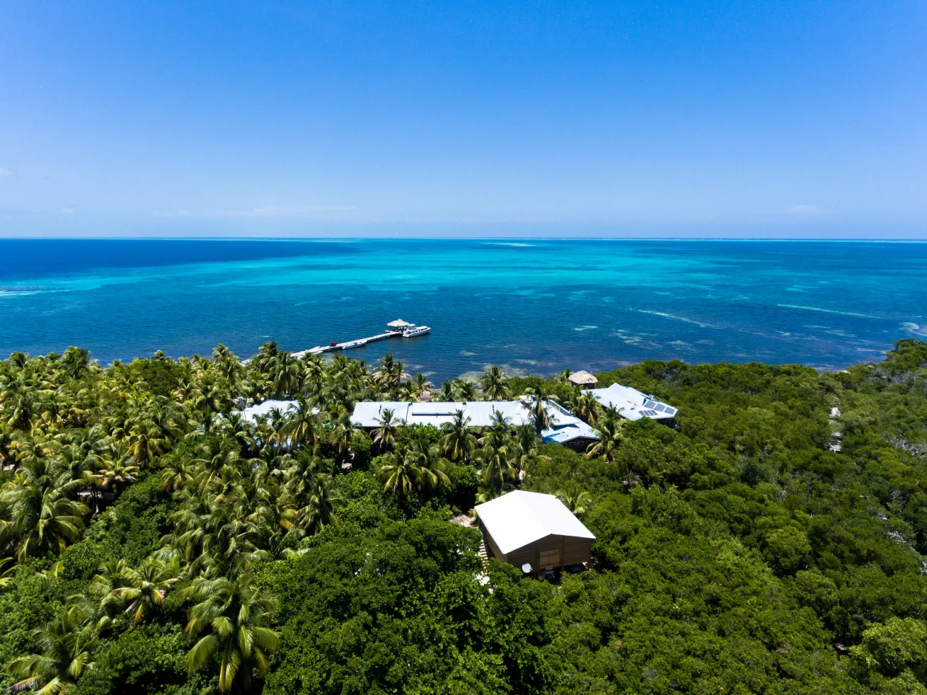 Explore Wild Belize at Itza Resort | Scuba Diving