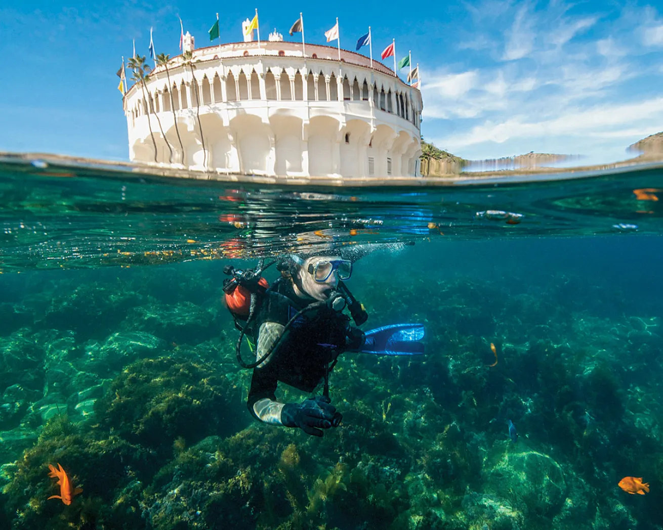 Six Dive Destinations Known for Healthy Coral Reefs | Scuba Diving