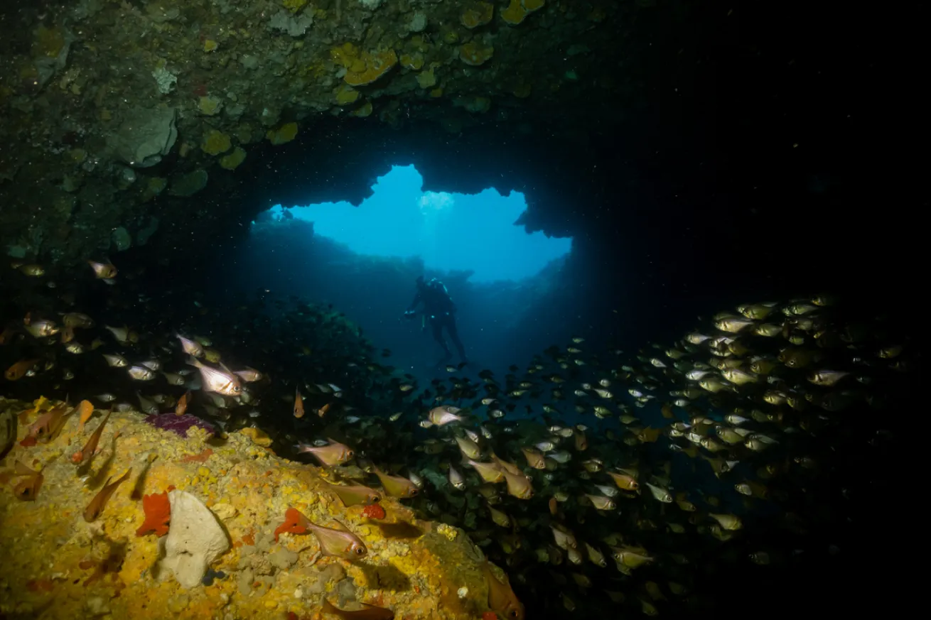 The Five Best Places to Dive in Western Australia | Scuba Diving