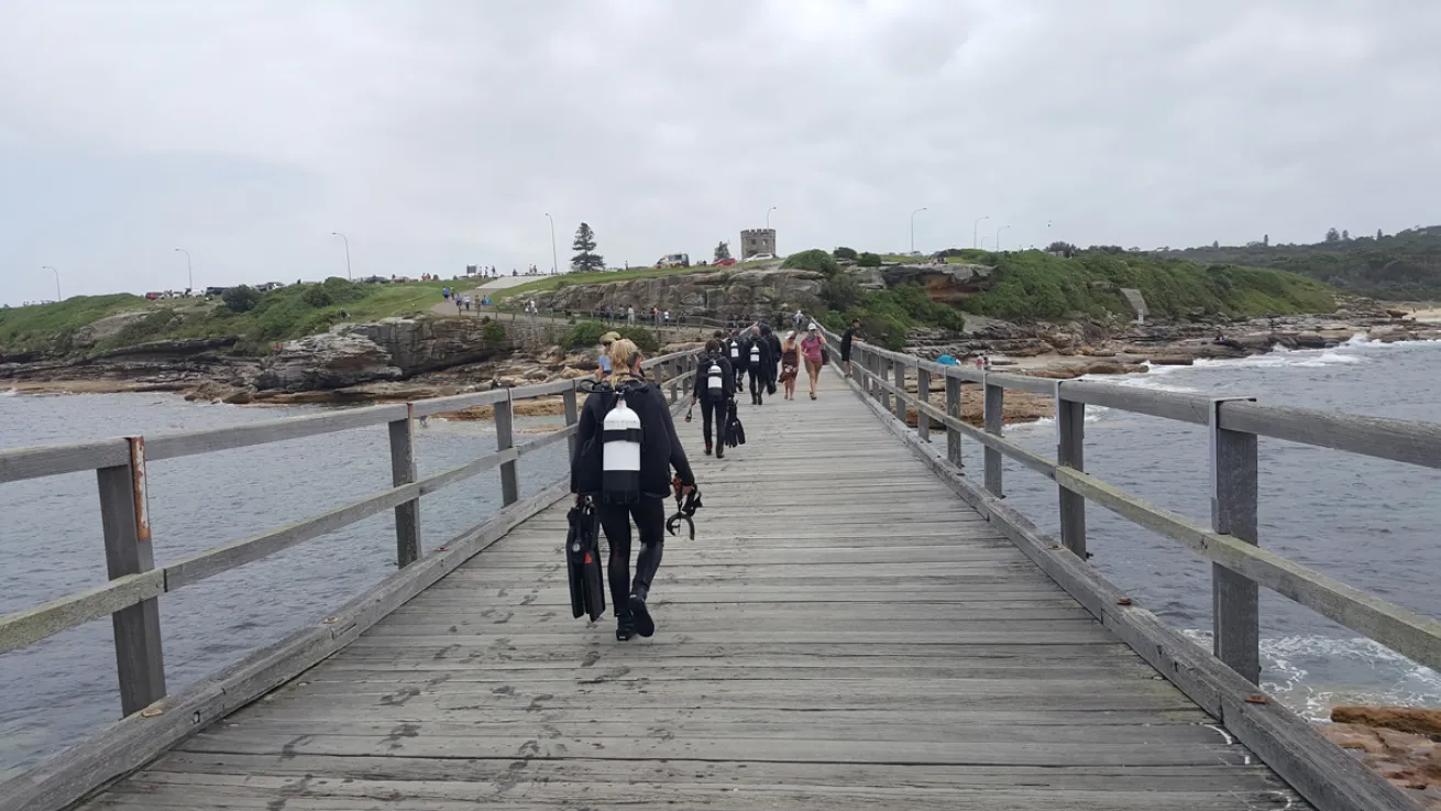 Six Must-Dive Sites in Sydney | Scuba Diving