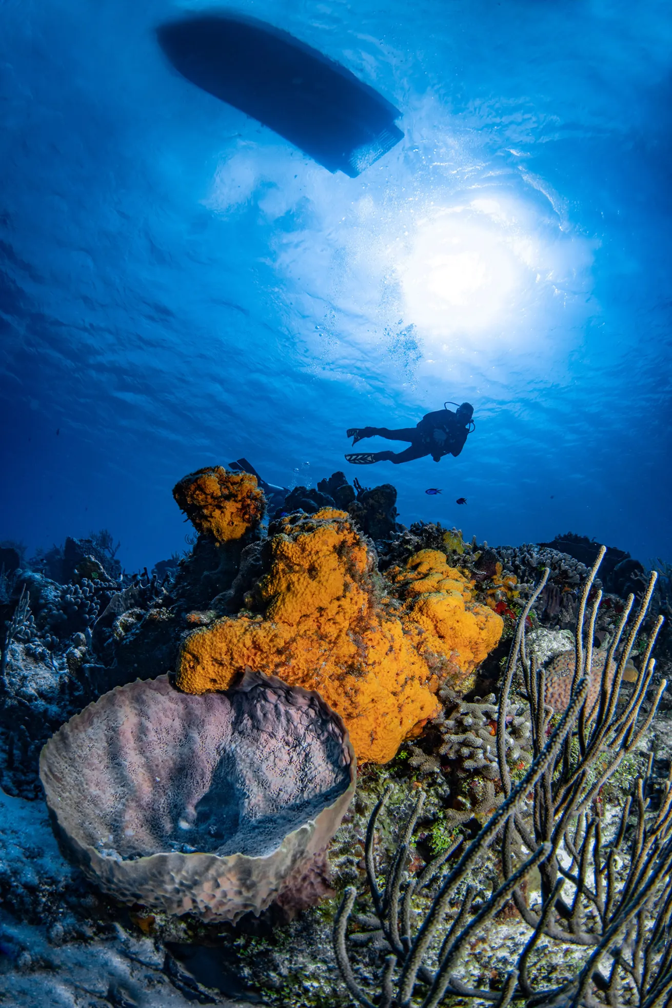 Aldora Divers | Scuba Diving