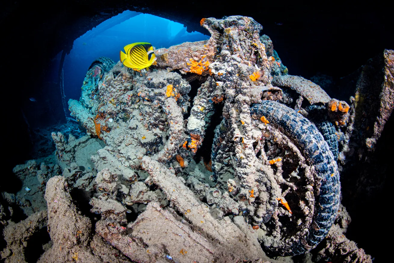 How to Photograph the Red Sea's Wrecks and Reefs | Scuba Diving