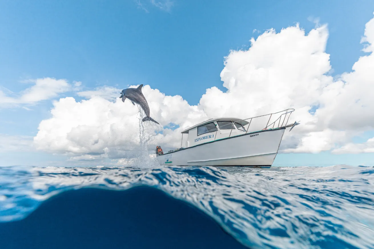 Dive It All on Grand Bahama | Scuba Diving