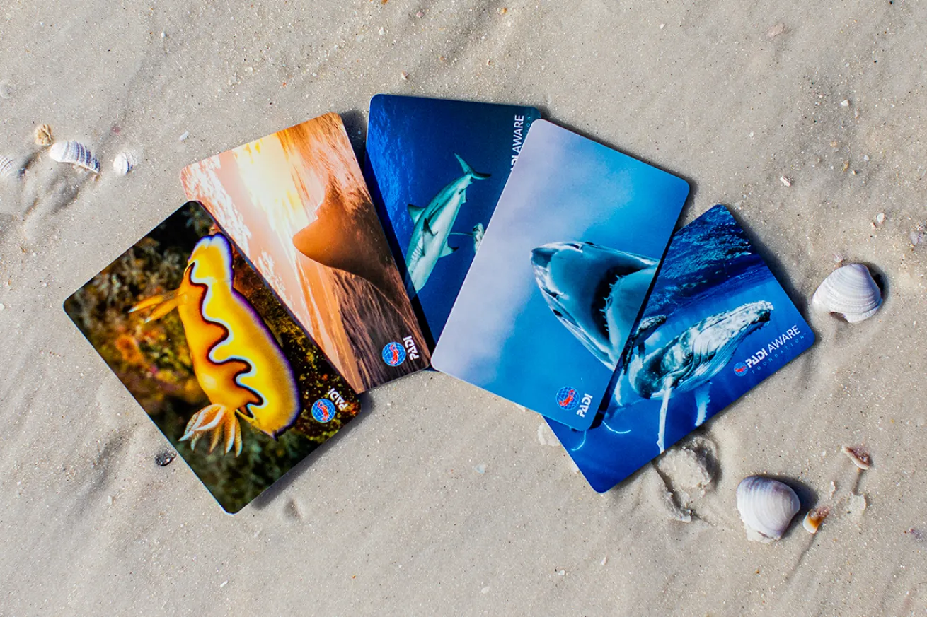 We Have Proof a Dive Cert is the Best Holiday Gift Idea Yet | Scuba Diving
