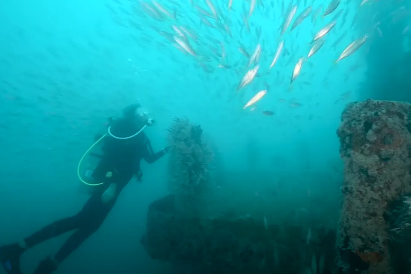 Diving the Adolphus Busch Sr. on Big Pine Key | Scuba Diving
